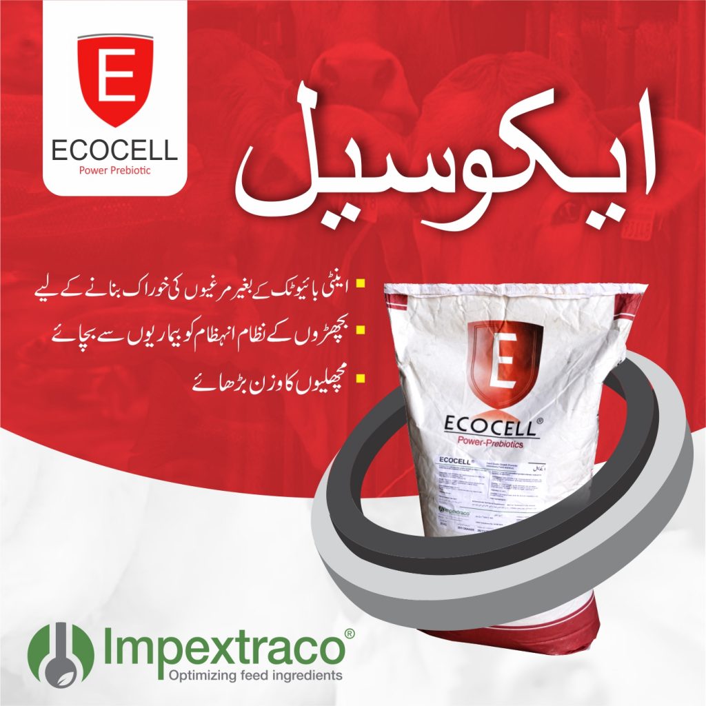ECOCELL: | Jawad Impex International